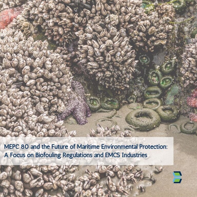 MEPC 80 and the Future of Maritime Environmental Protection | EMCS ...